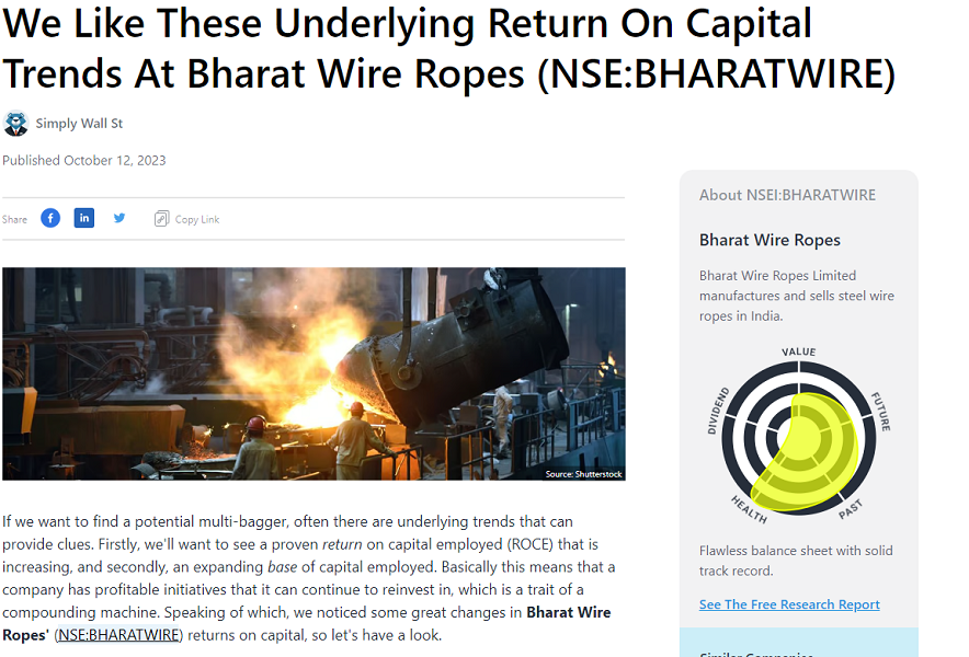 Online Article - Bharat Wire Rope Ltd.